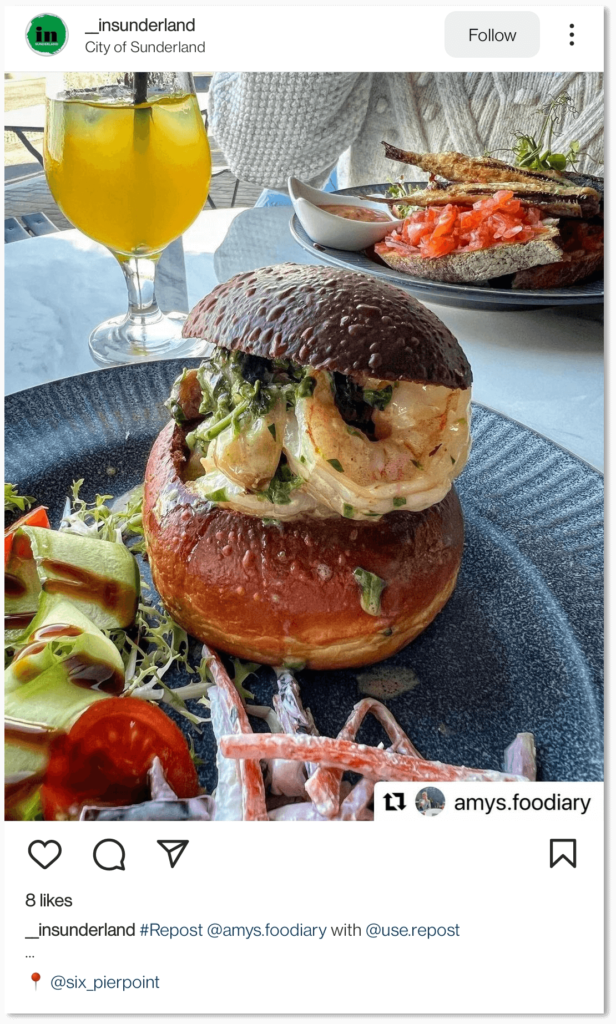 The Ultimate Guide to Reposting Your Instagram Stories