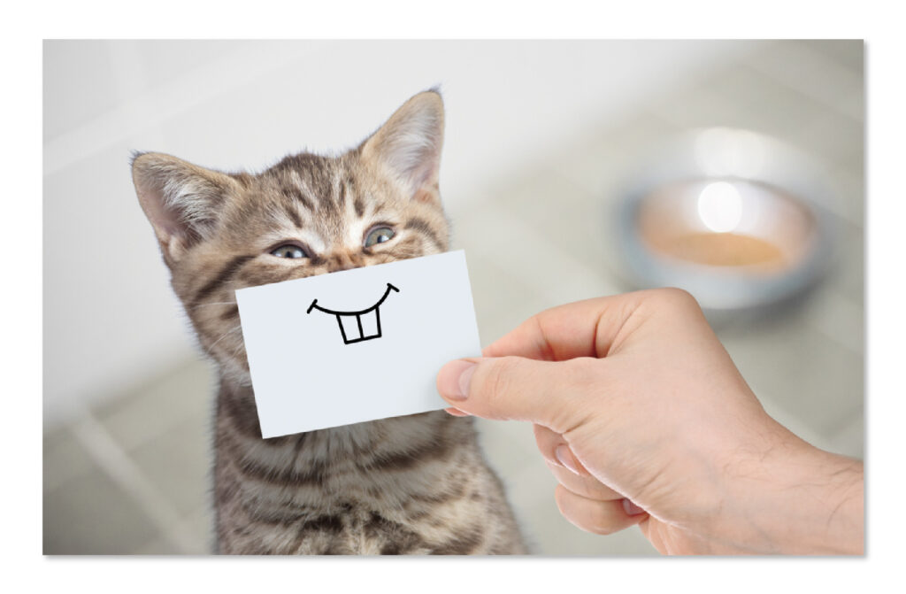 999+ Best Instagram Captions for 2025 | SocialBu Blog