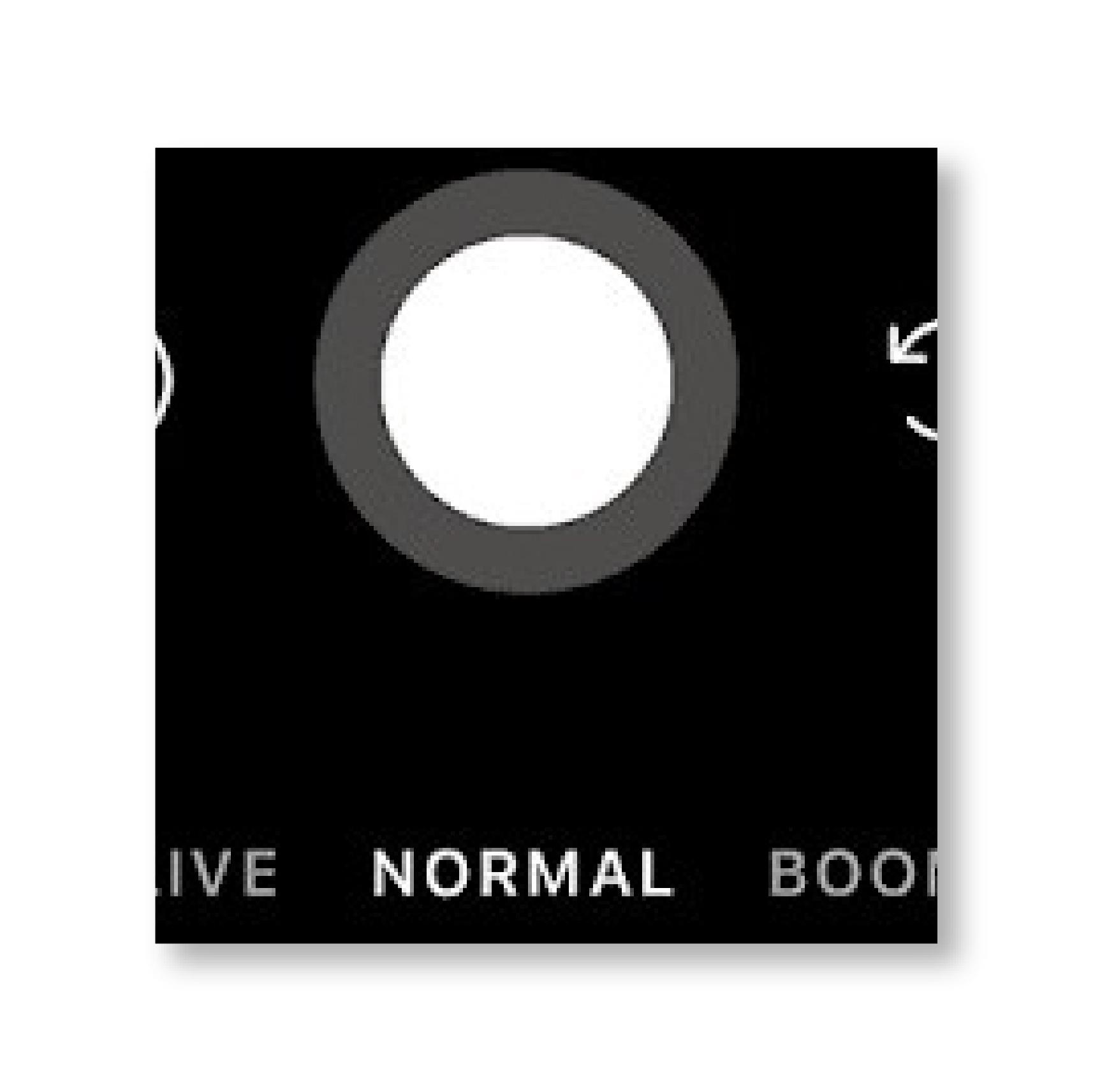 Master Instagram Reels With This Comprehensive Tutorial