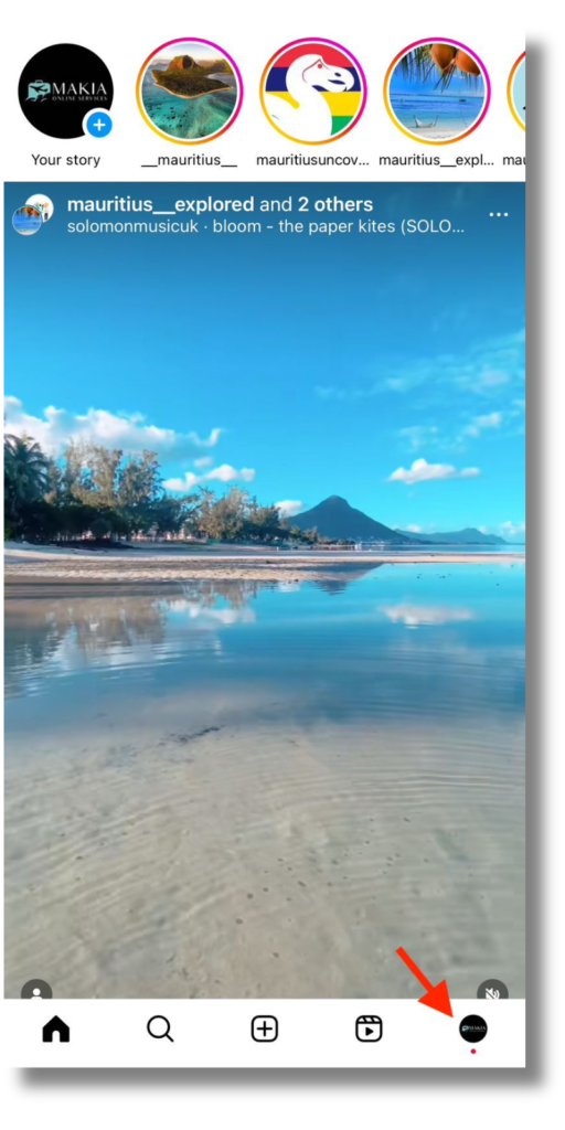 How To Find Your Instagram URL for Profile, Post & Reels