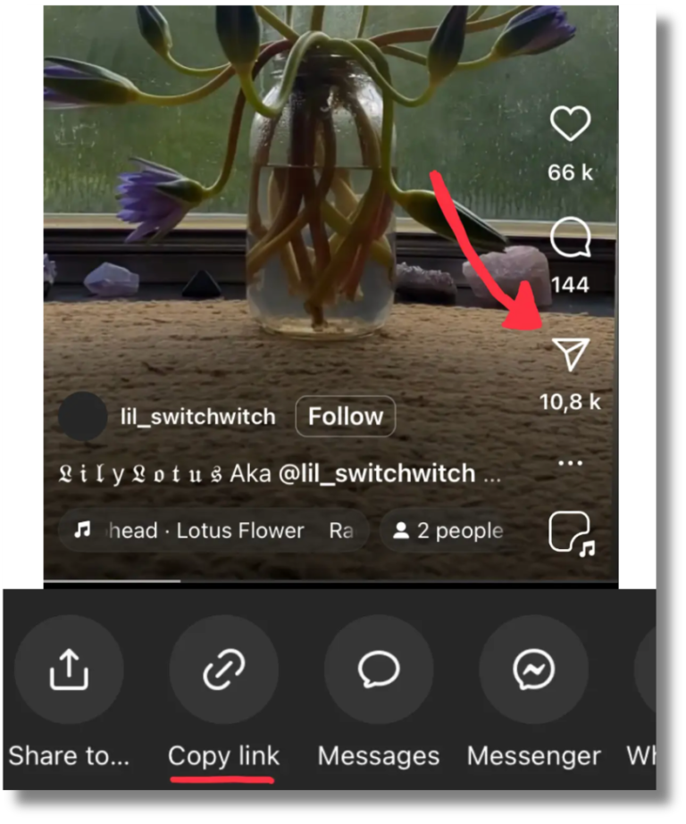 How To Find Your Instagram URL for Profile, Post & Reels