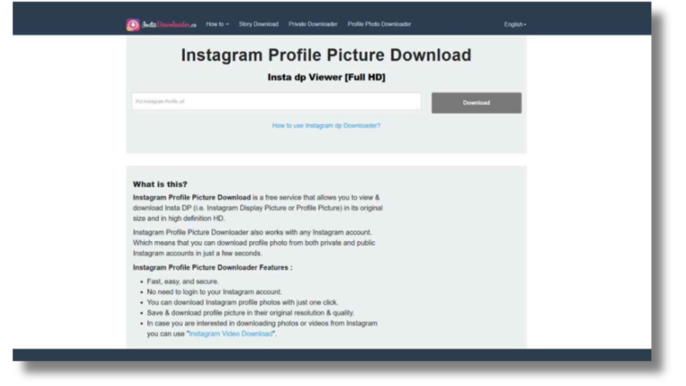 7 Best Instagram Profile Picture Downloader in 2024