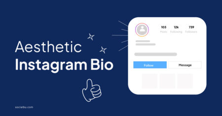 31+ Aesthetic Insta Bio Ideas for Everyone in 2025