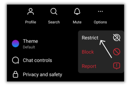 What Happens When You Restrict Someone on Instagram?