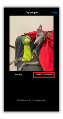 How to Collab Post on Instagram Feed and Story: A Quick Guide ...